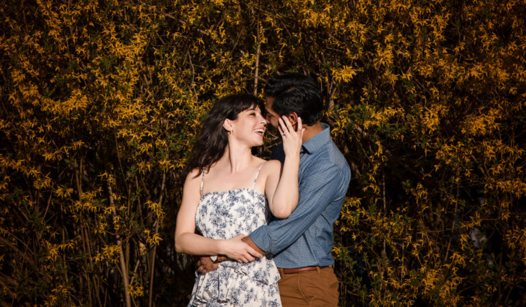 Blog - Susan Stripling Photography